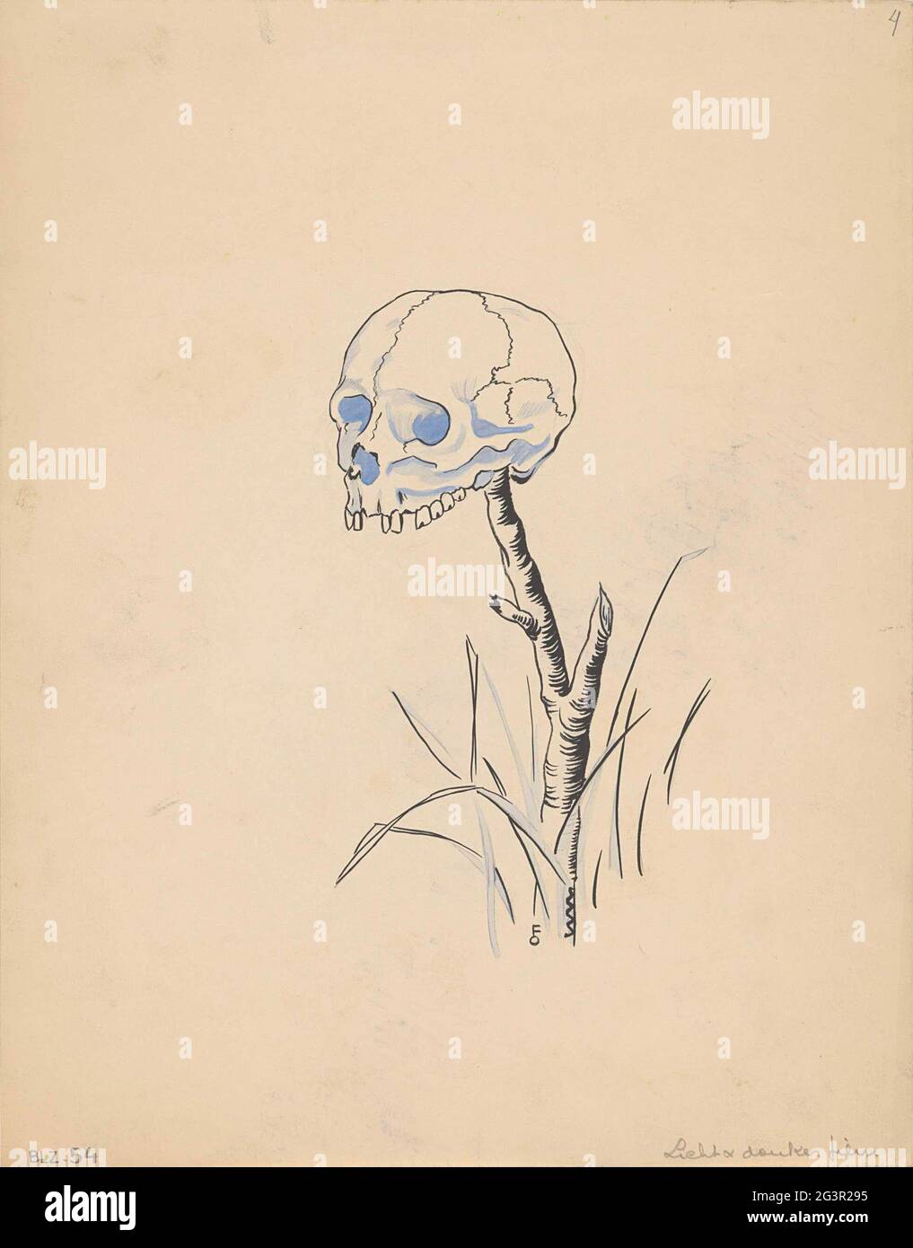 Human skull on a stick hi-res stock photography and images - Alamy