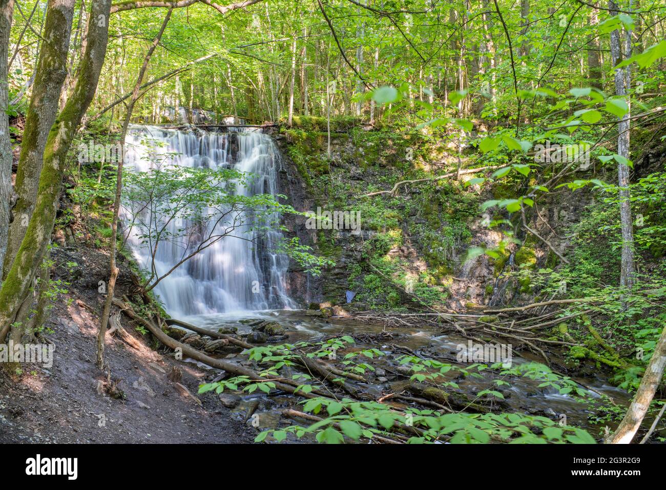 Silverfallet hi-res stock photography and images - Alamy