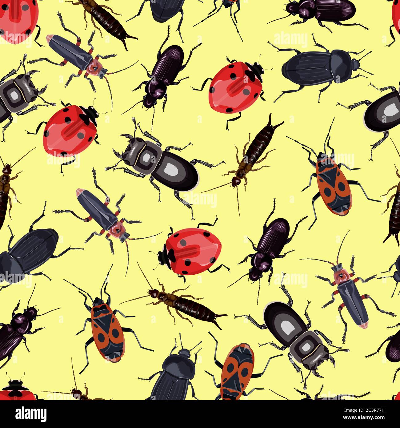 Winged beetles Stock Vector Images - Alamy