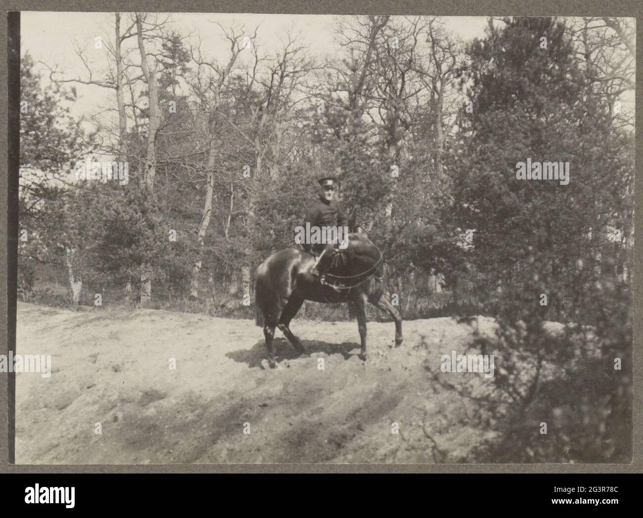 Rider scene on Royal wood fortress Het Loo: Rider on a sandwal. Part of ...