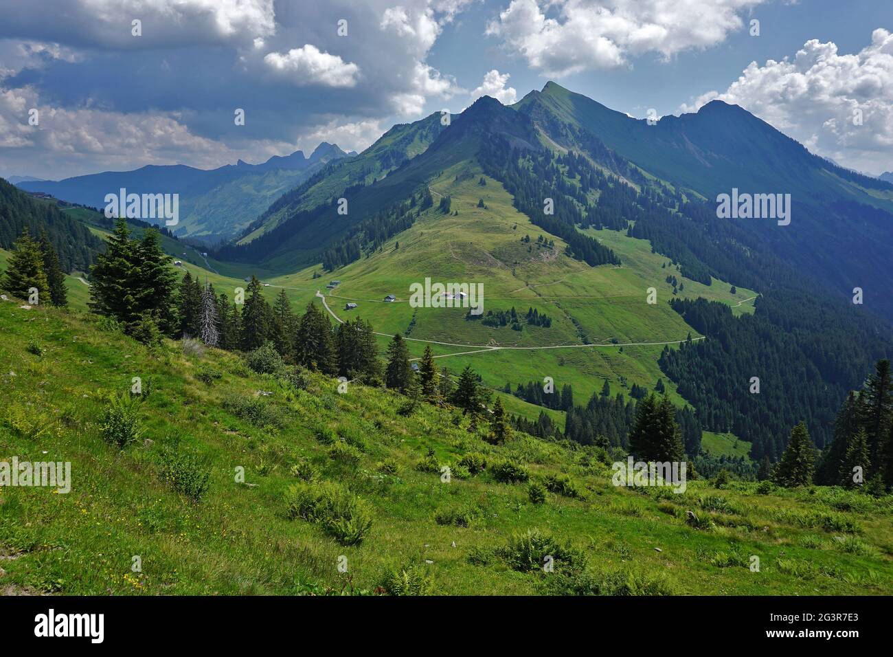 Bregenzer forest hi-res stock photography and images - Alamy