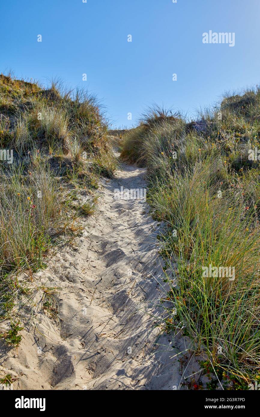 Dune footpath hi-res stock photography and images - Alamy