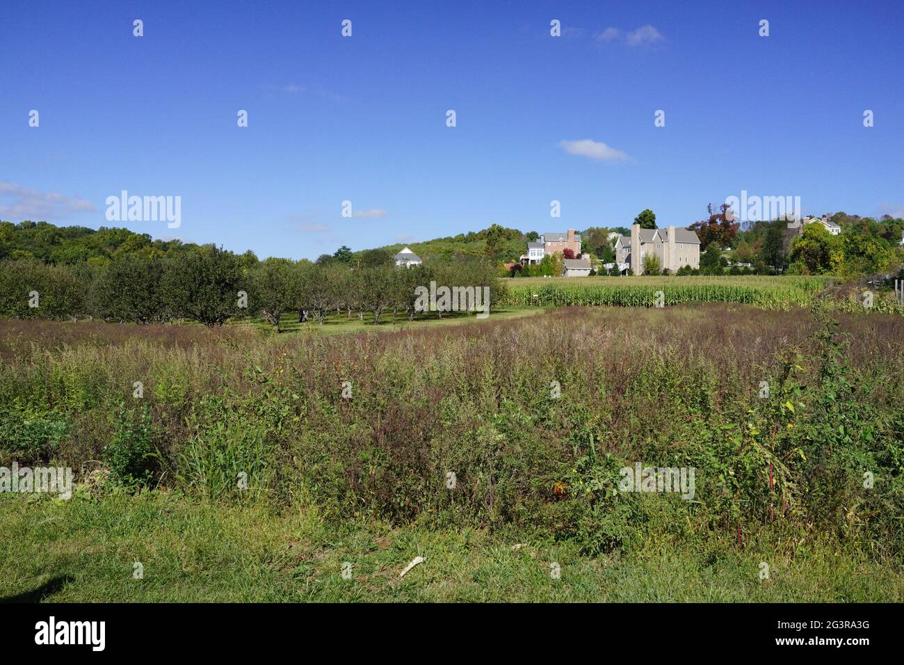 Hacklebarney Farm, Chester New Jersey, USA. Seasonal farm for Apples ...