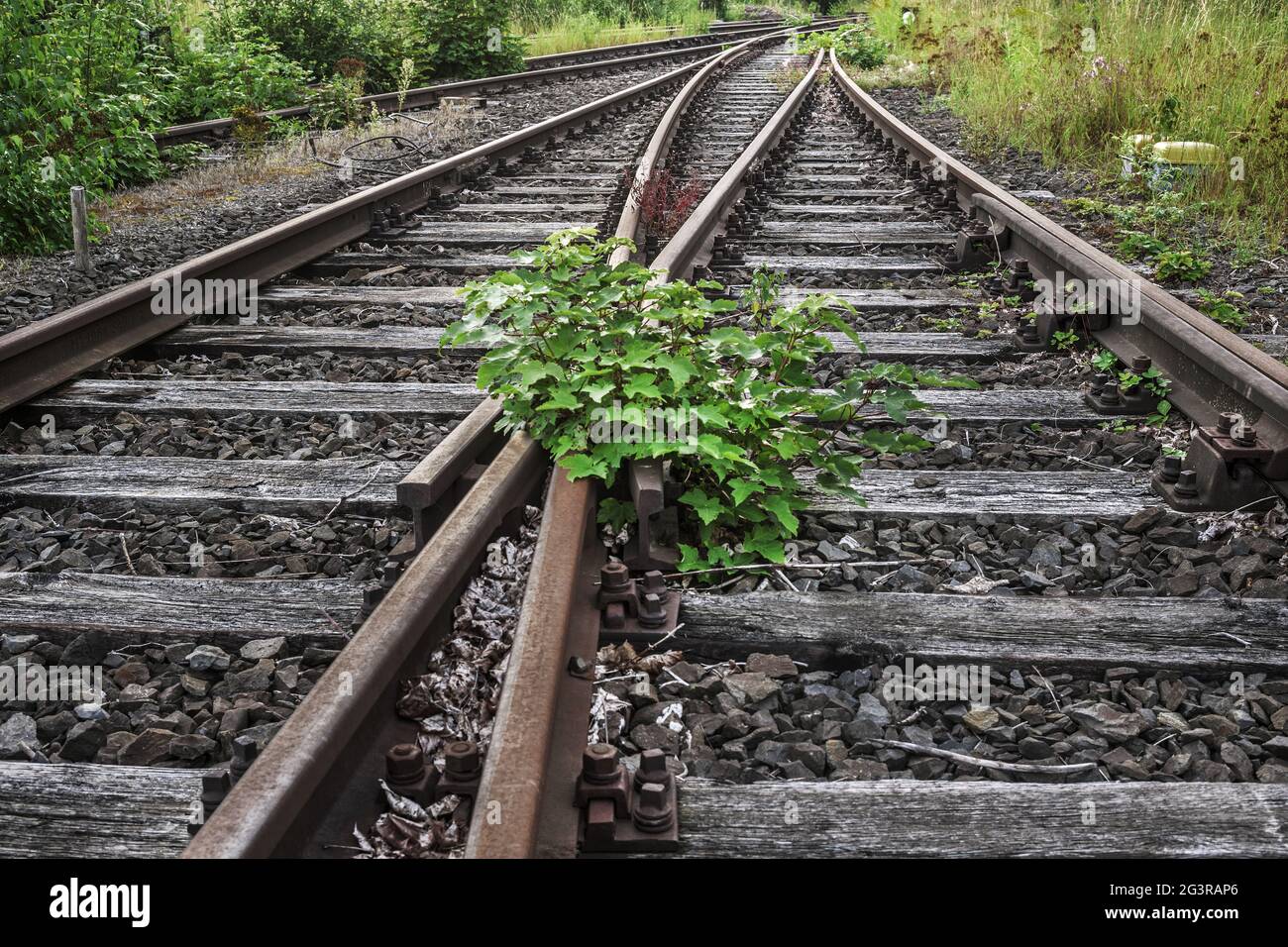 Forgotten rail hi-res stock photography and images - Alamy