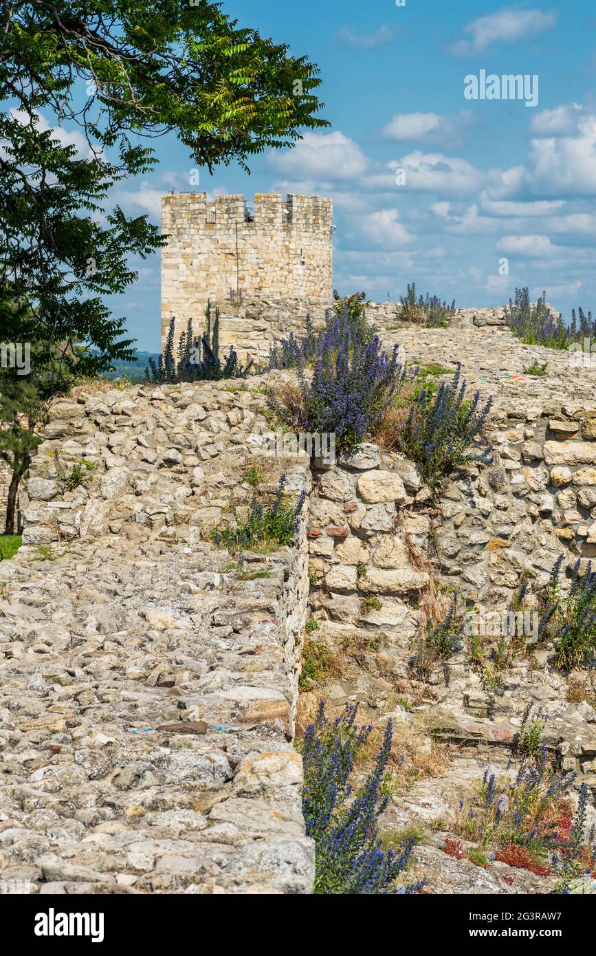 Historic Belgrade Fortress in Kalemegdan park in Belgrade, capital of ...
