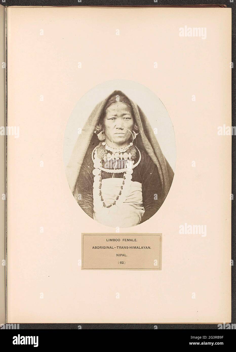 Portrait of a limbu woman from Nepal; Limboo female. Aboriginal - Trans ...