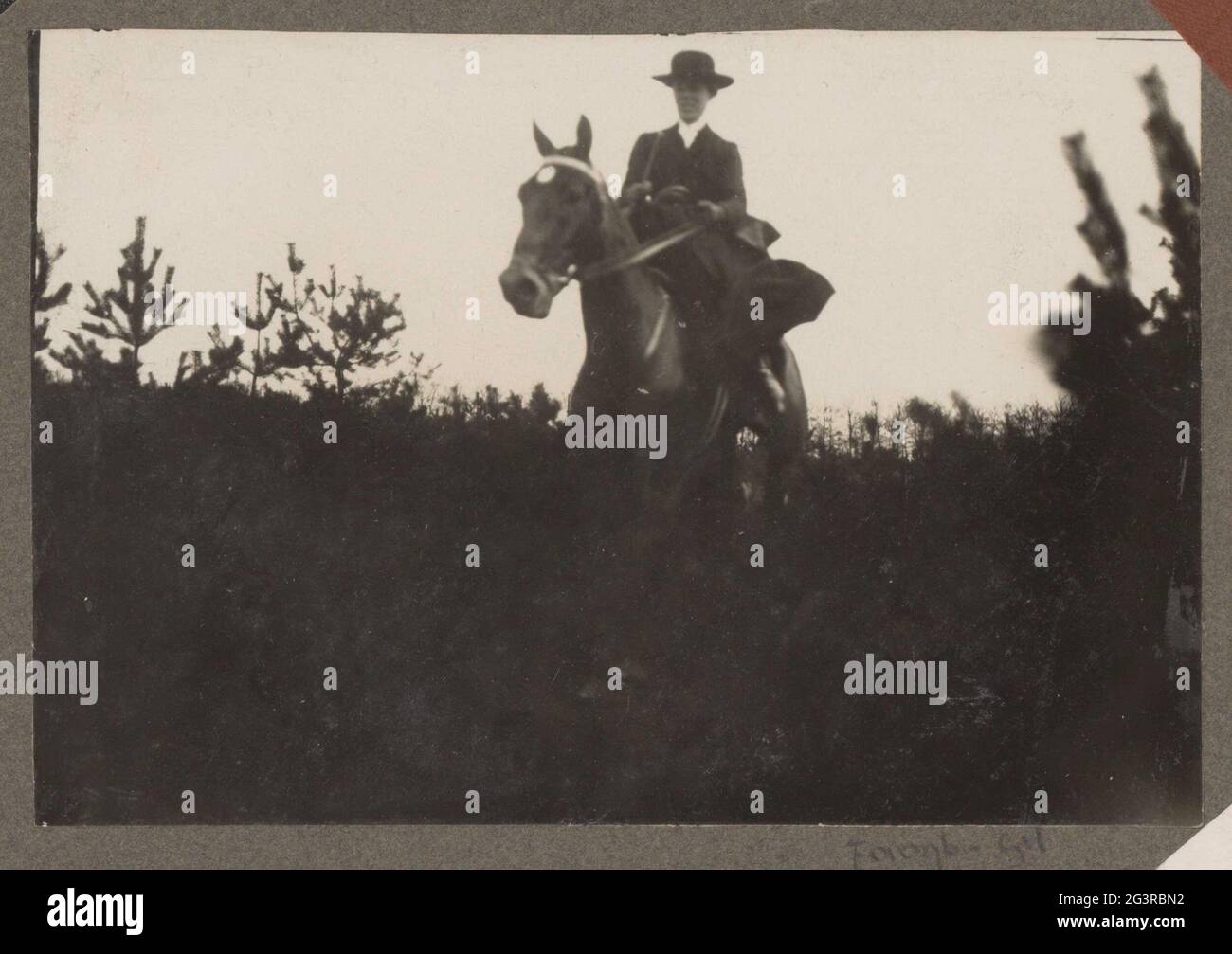 Equestrian scene on royal wood fortress Het Loo: Woman on horseback in ...