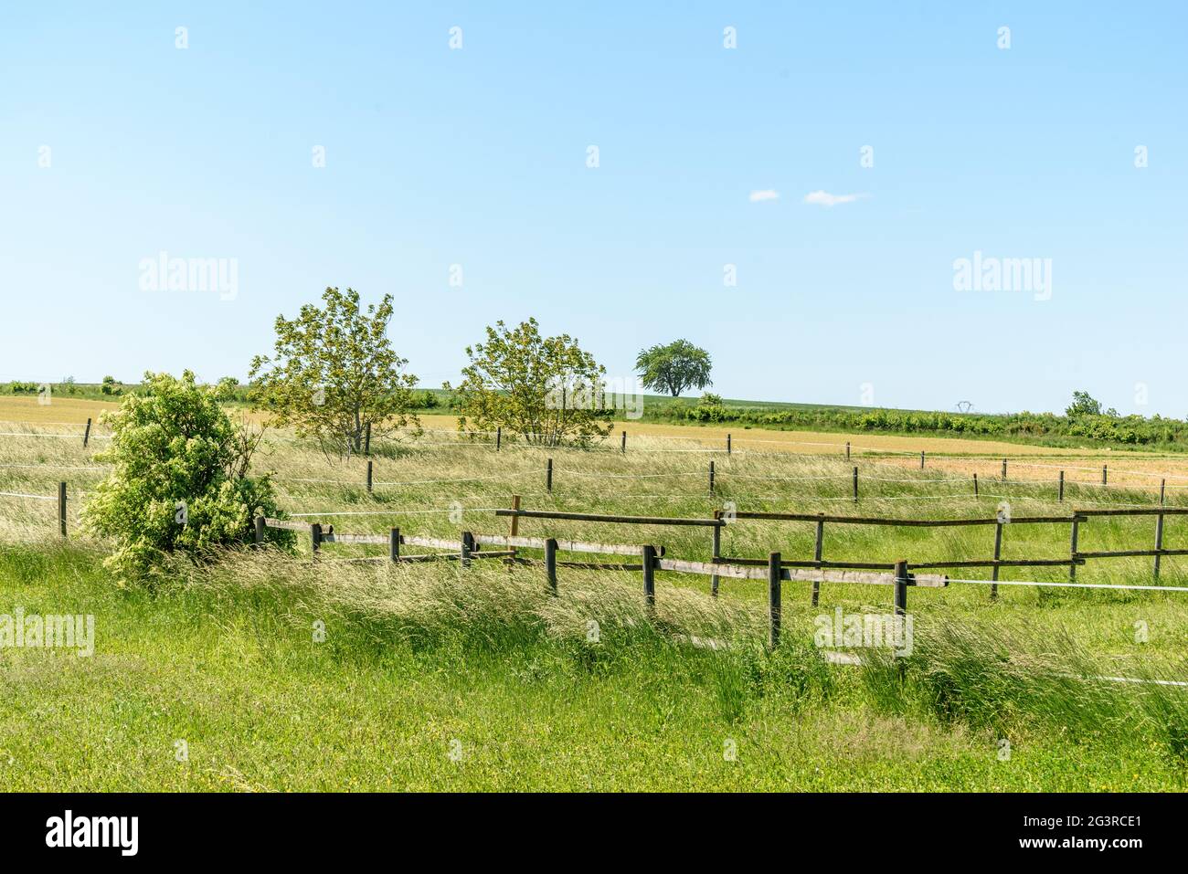Enclosure for horses in the French countryside. France Europe Stock ...