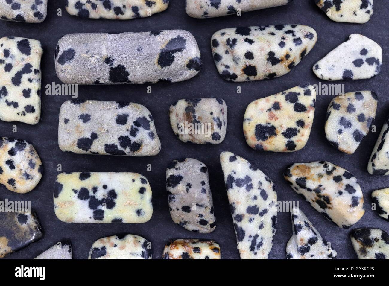 Dalmatian jasper rare jewel stones texture on black stone background ...