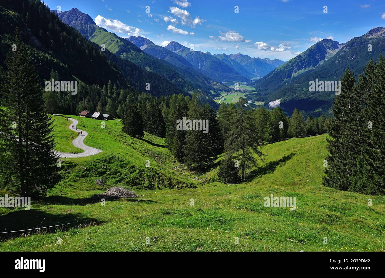 Lech valley, Lechtal alps, Austria, Tyrol, Alpine meadow at the ...