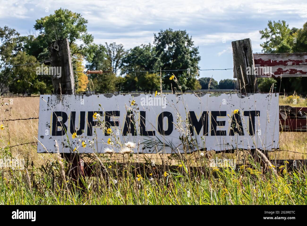 Buffalo meat hi-res stock photography and images - Alamy