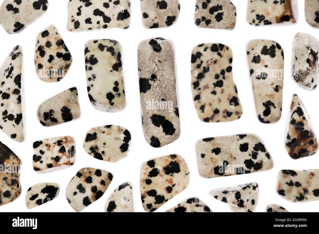 Dalmatian jasper rare jewel stones texture on white light isolated ...