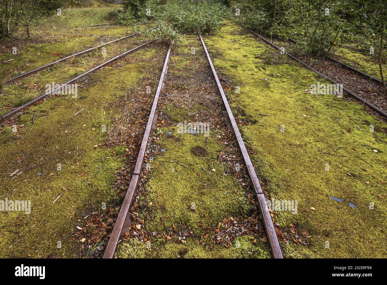 The old tracks of a mine line Stock Photo - Alamy