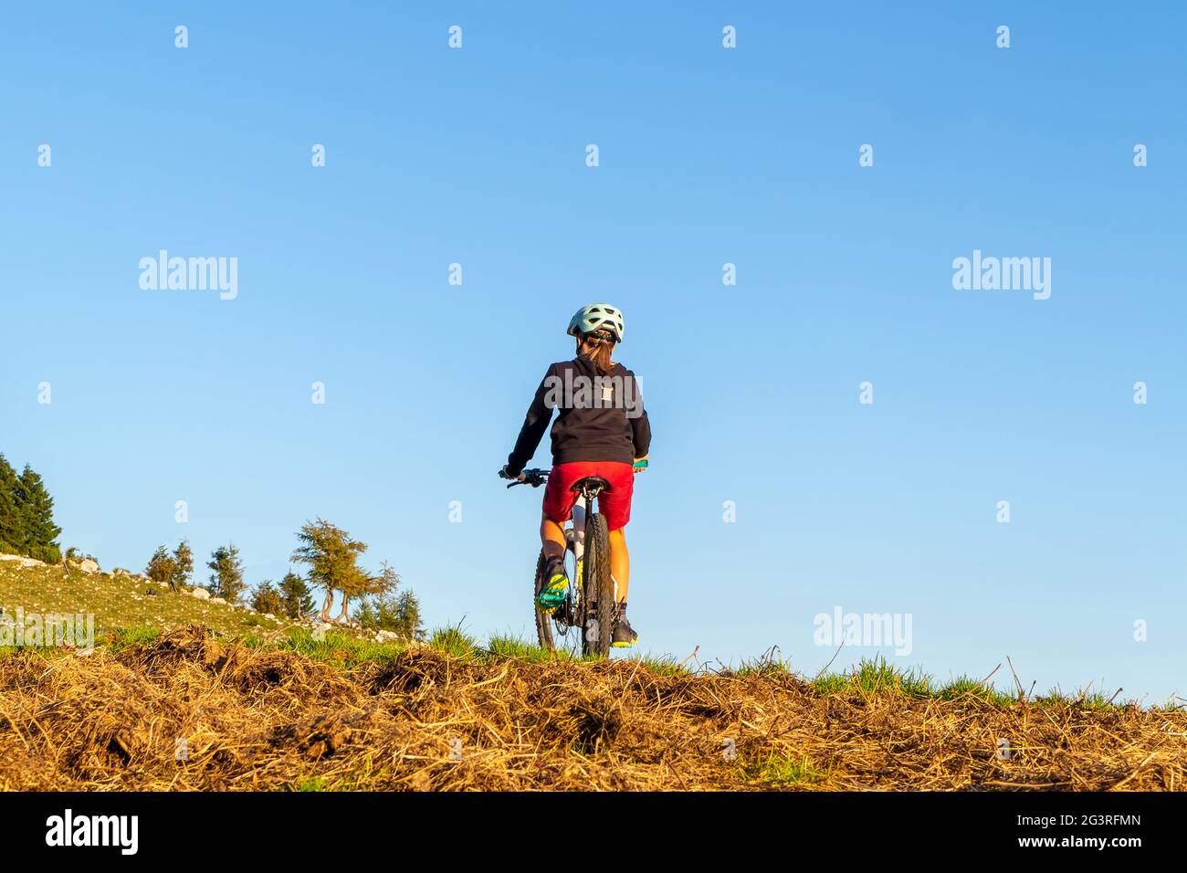 Girl child riding mountain bike into the sunset. Beautiful golden ...