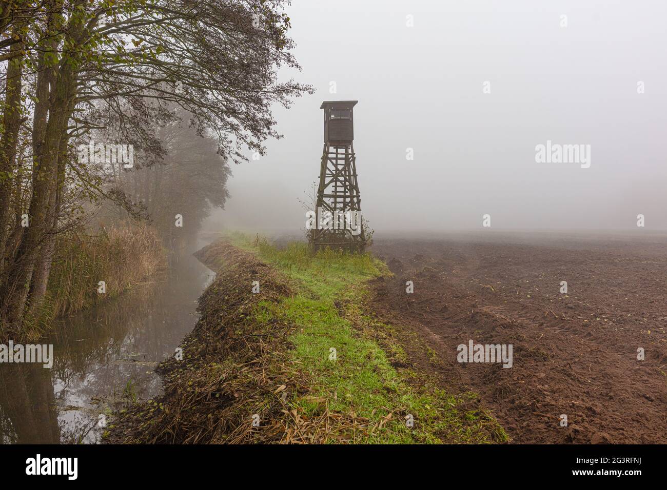 Morning hunt hi-res stock photography and images - Alamy