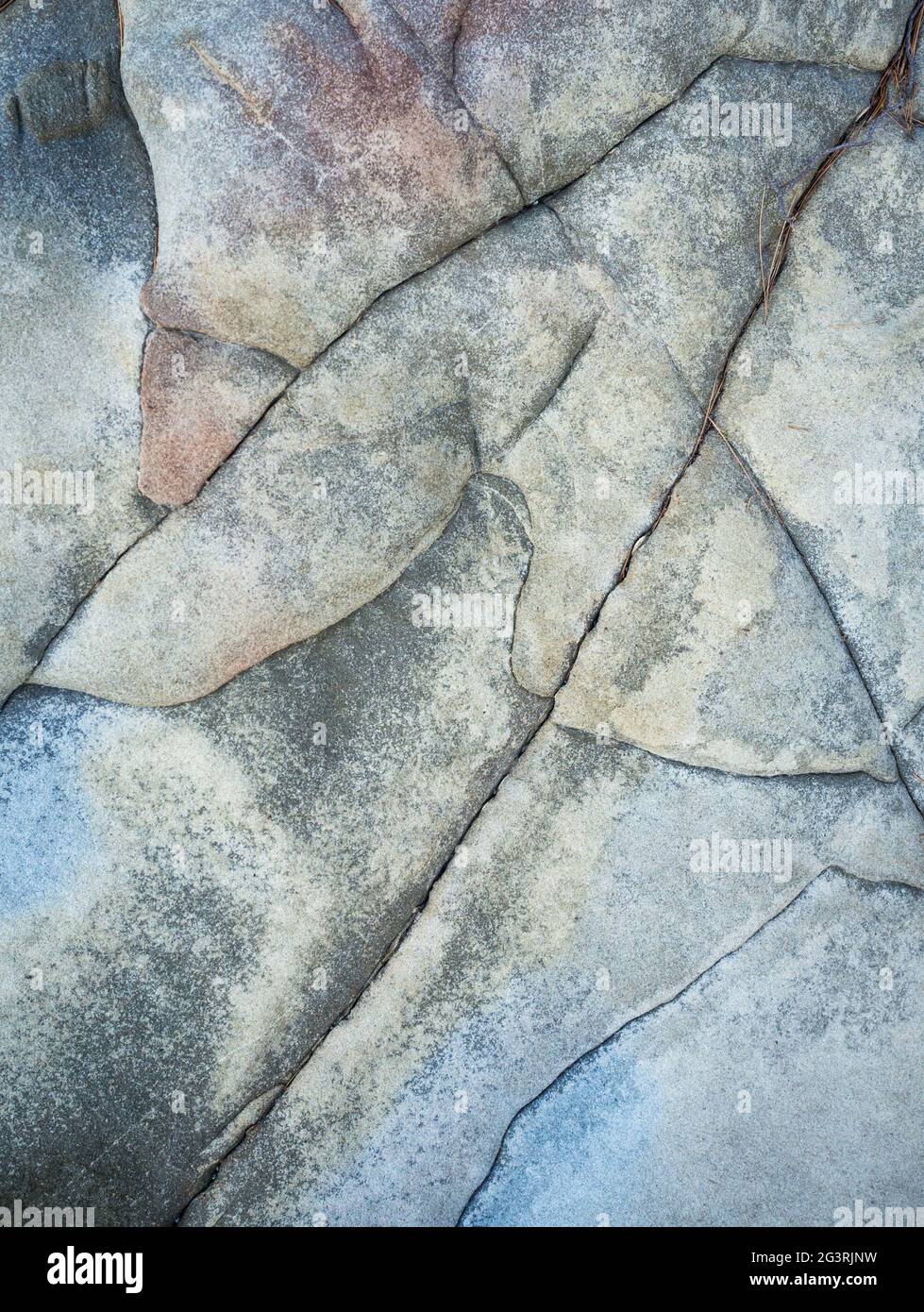 Texture of a rock on the coast Stock Photo - Alamy