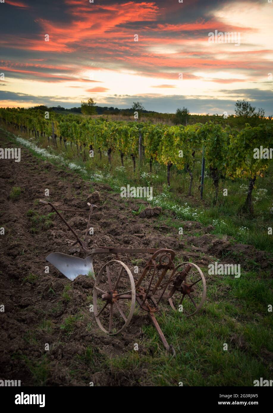 Old plow on a agricultural field Stock Photo - Alamy