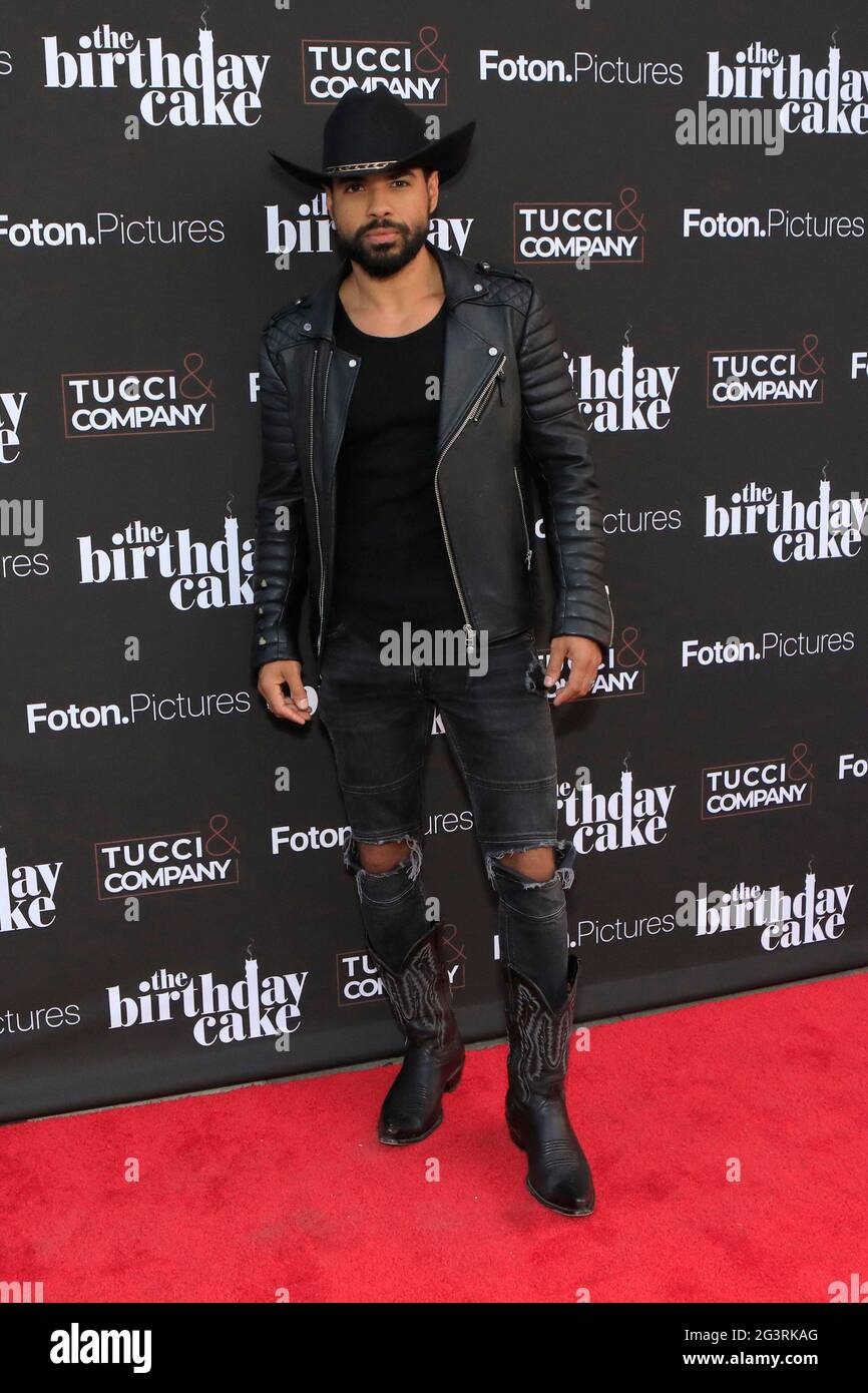 LOS ANGELES - MAR 24: Steven Spence at The Birthday Cake LA Premiere at ...