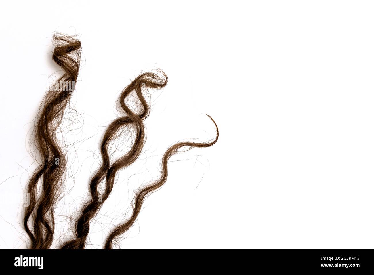 Brunette curly hair extension isolated on white background Stock Photo ...