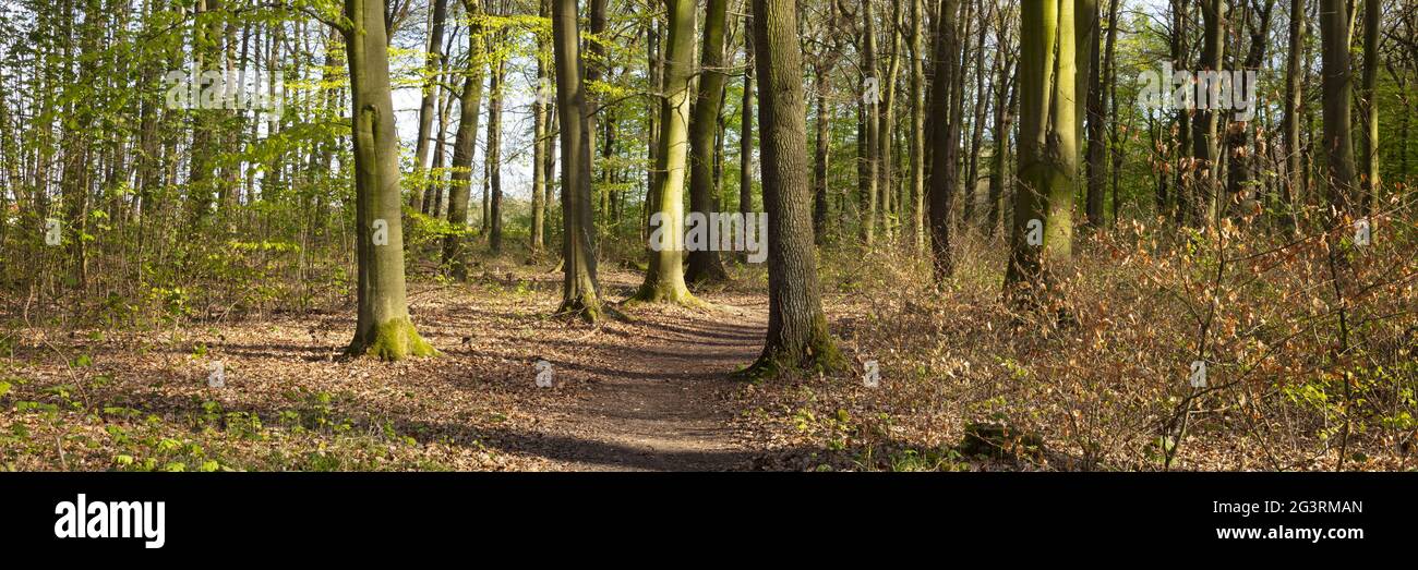 Trail through time hi-res stock photography and images - Alamy