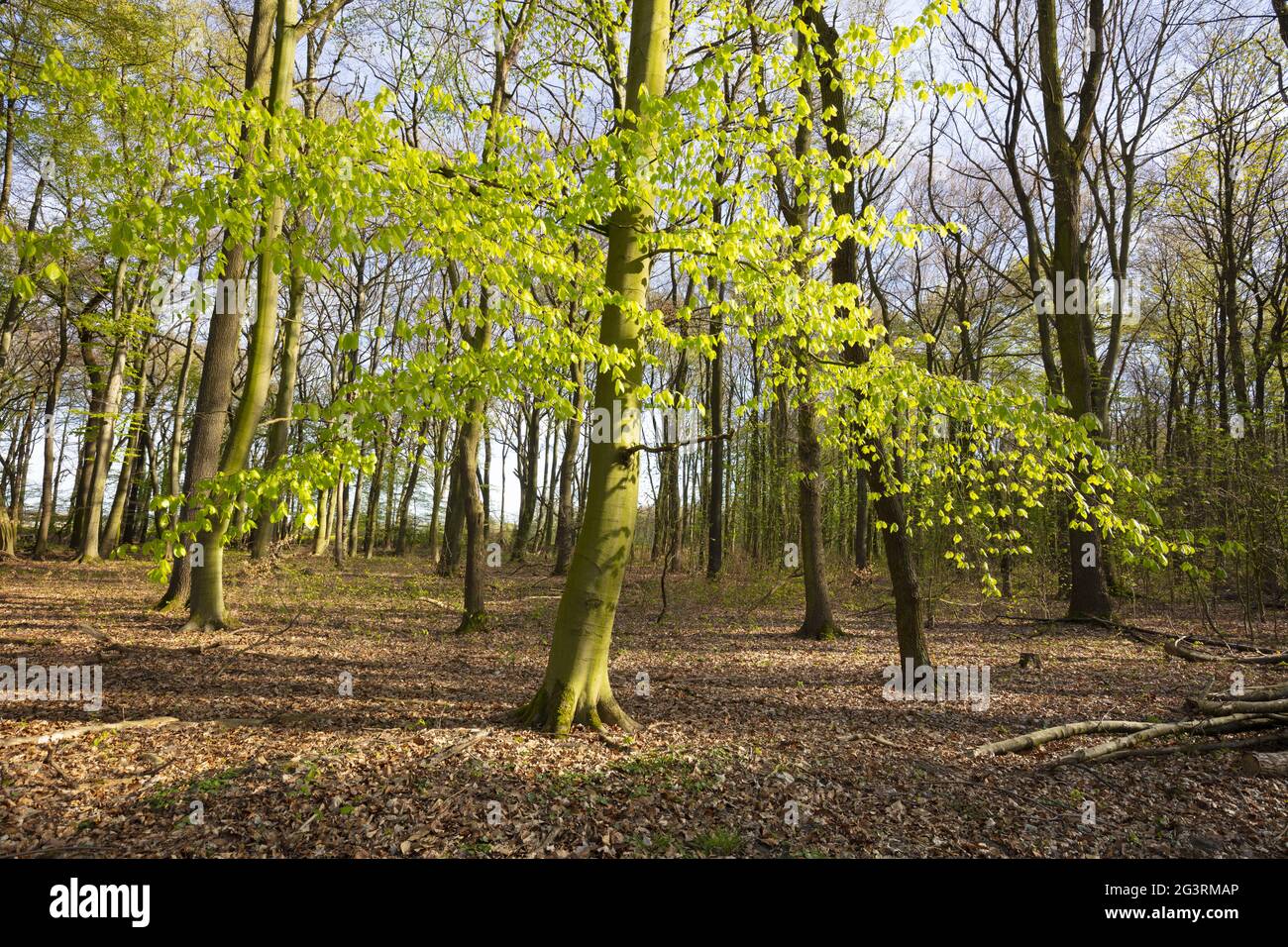 One way one time hi-res stock photography and images - Alamy