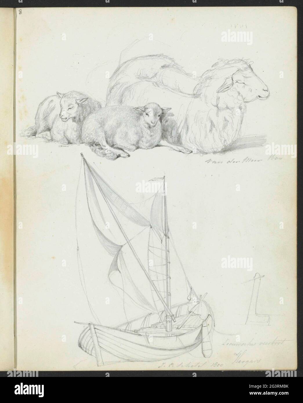 Sheep and a Zeeland ferry. Leaf 8 Recto from a sketchbook with 21 ...