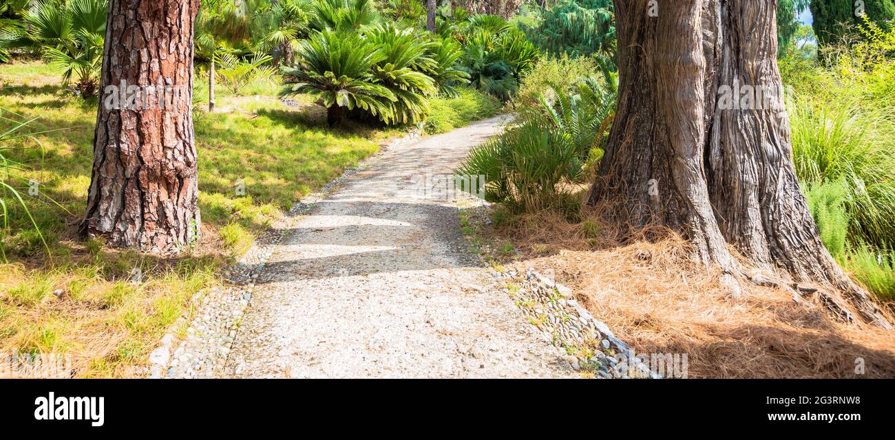 Peaceful pathway in botanical garden Stock Photo - Alamy
