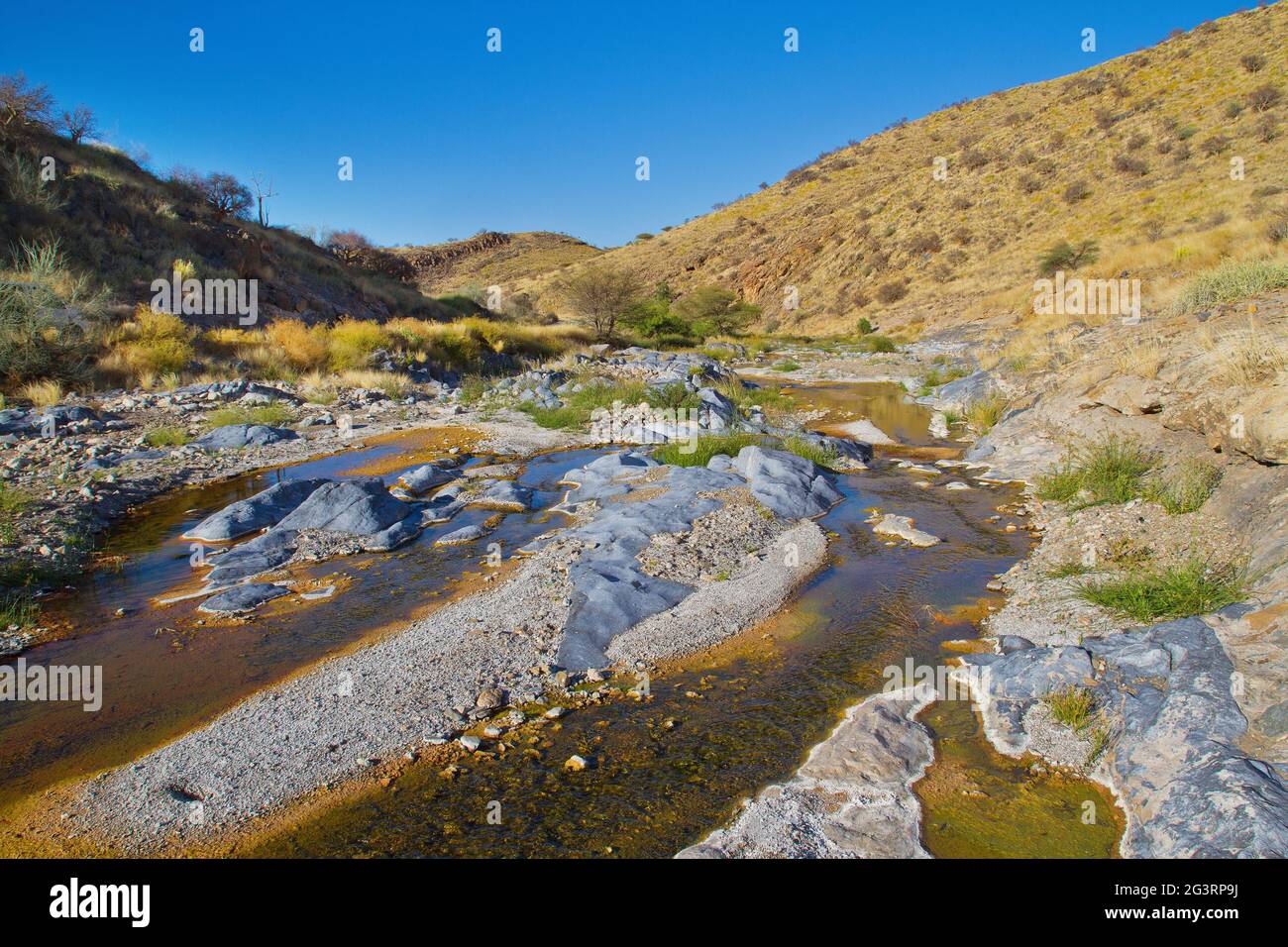 River flowing through a desert Stock Photo - Alamy
