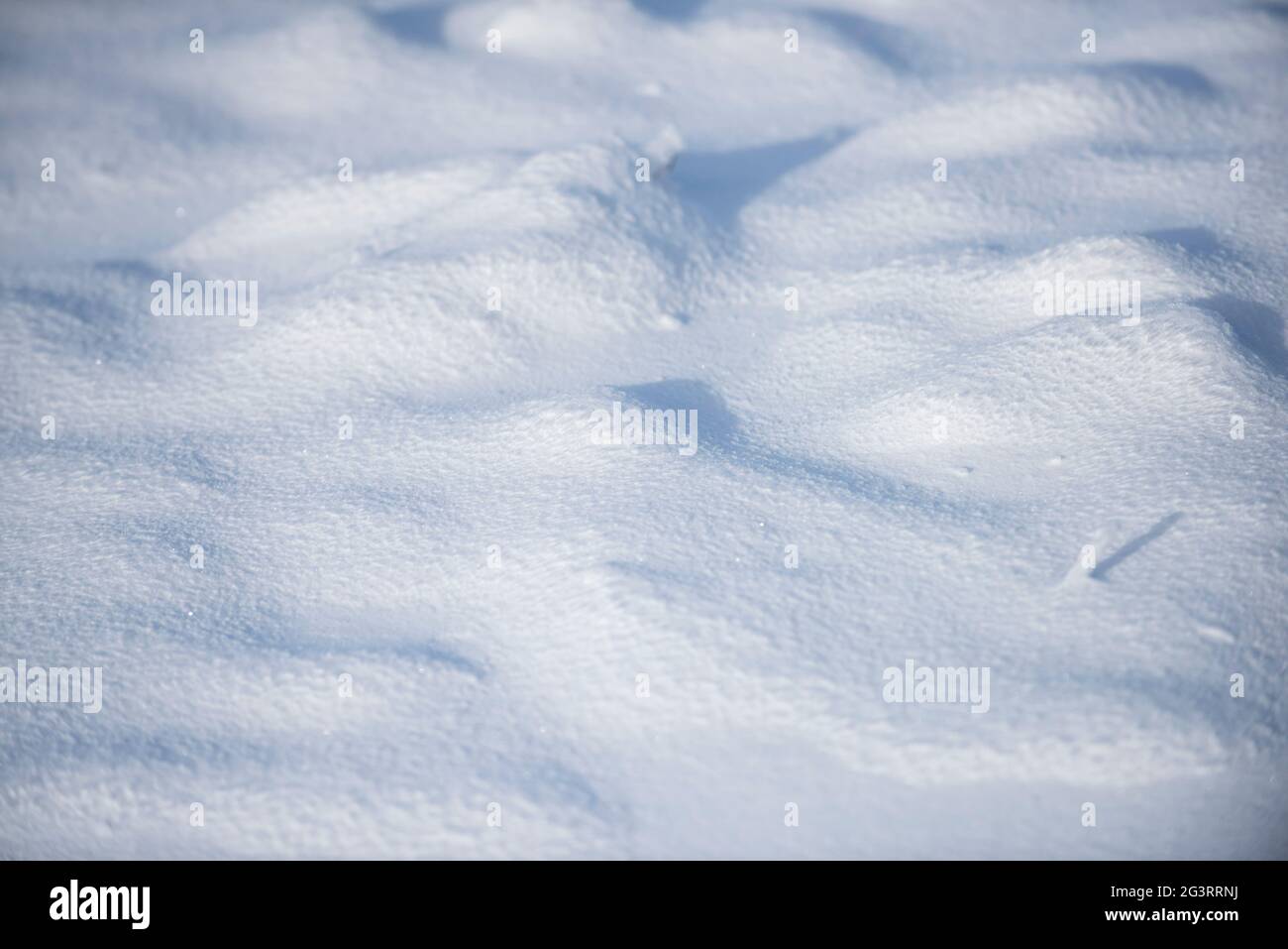 Winter snow background. White snowy background. Snow texture. Ice snowy ...