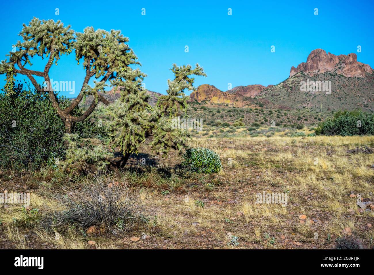 An overlooking view of Lost Dutchman SP, Arizona Stock Photo - Alamy