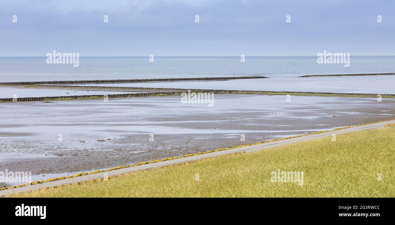 Groin at the North sea coast Stock Photo - Alamy