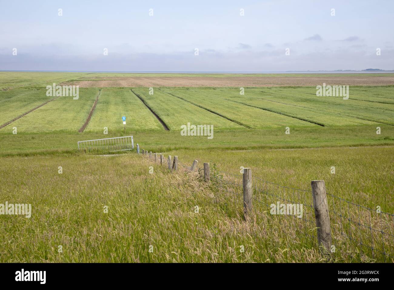 Salt meadow hi-res stock photography and images - Alamy