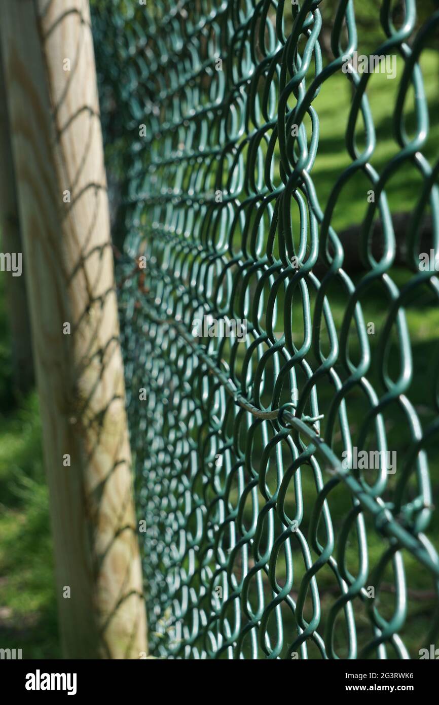 Blackpool Zoo, Chain link fence Stock Photo - Alamy