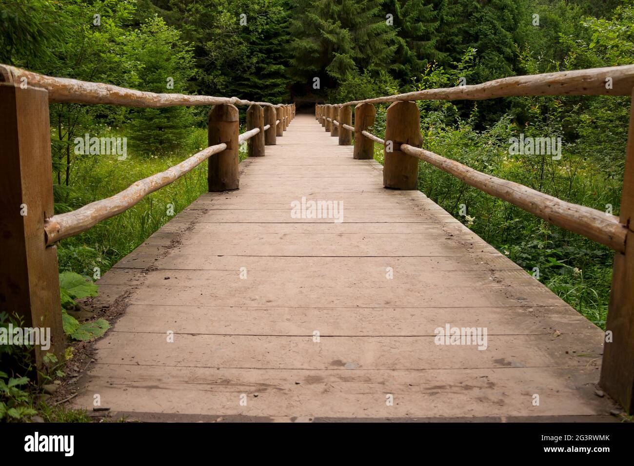 Wooden Footbridge in the Forest Stock Photo - Alamy