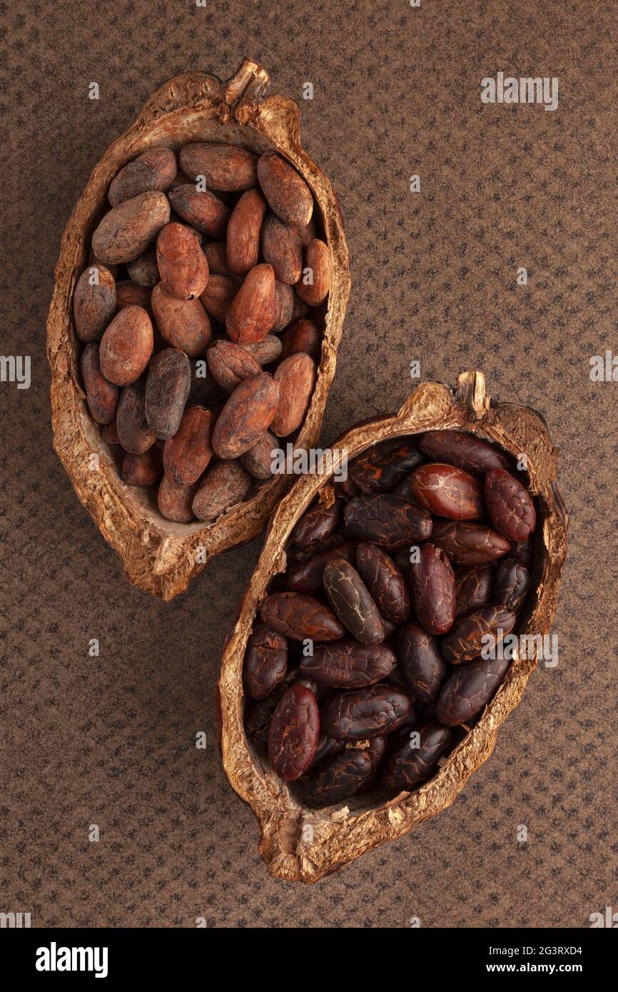 Peeled and unpeeled cocoa beans in a pod on brown background Stock ...