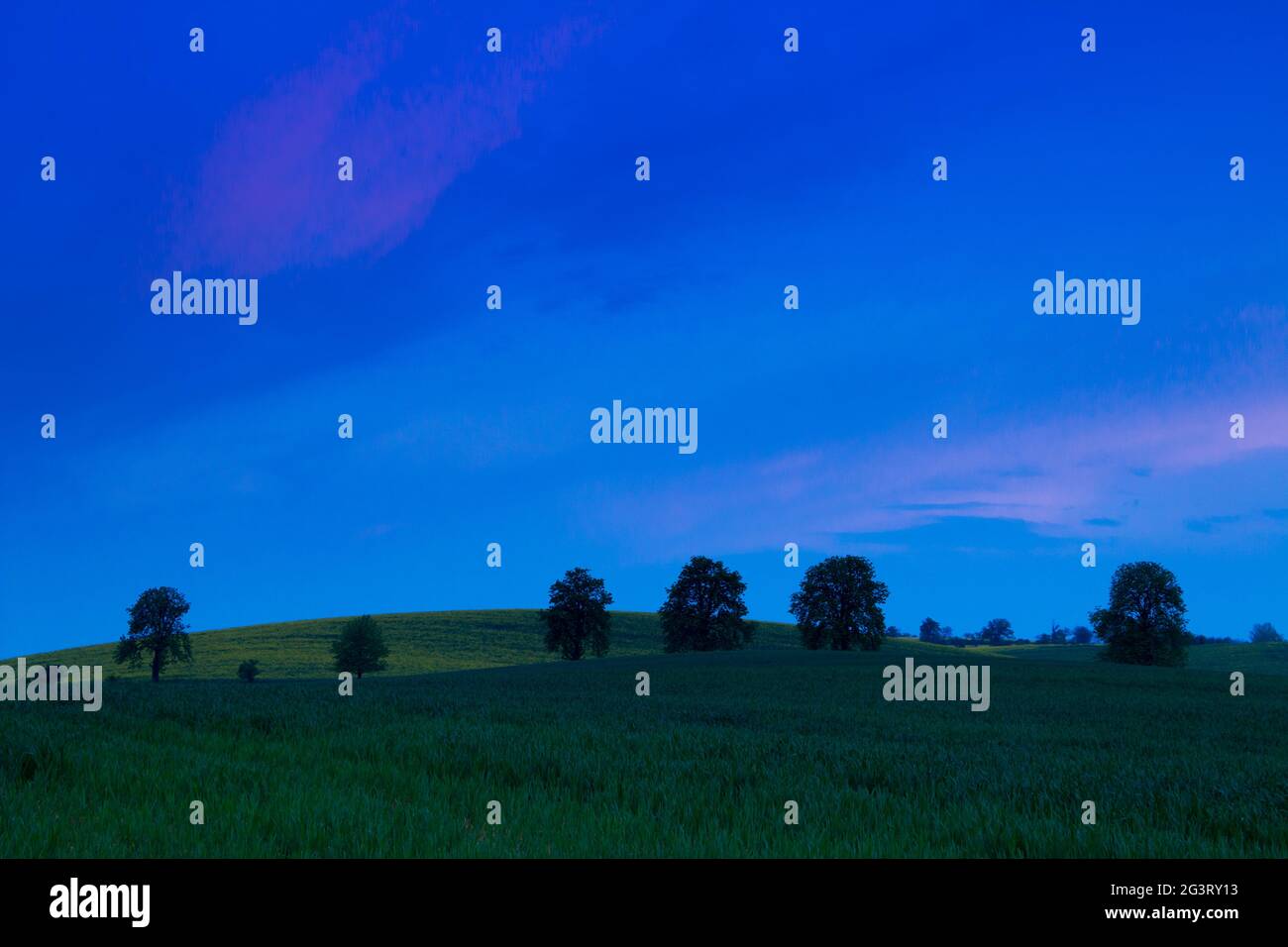 Evening over the Fields of Moravia Stock Photo - Alamy