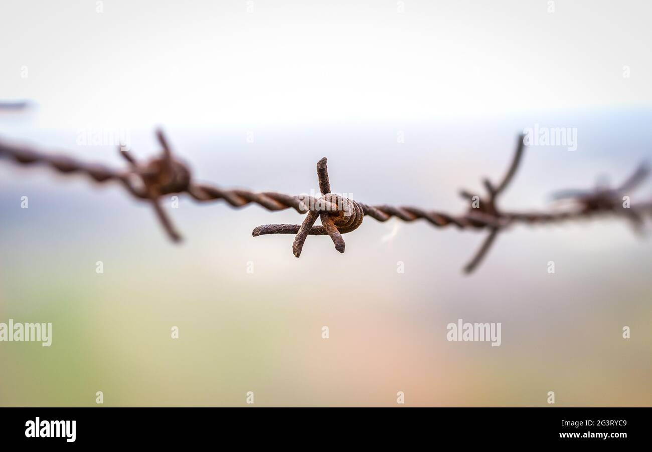 Arbed wire hi-res stock photography and images - Alamy