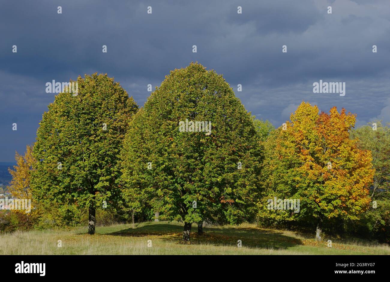 Dark coloration hi-res stock photography and images - Alamy