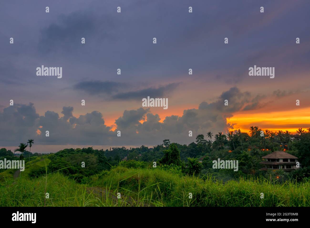 Rainforest landscape sunset hi-res stock photography and images - Alamy