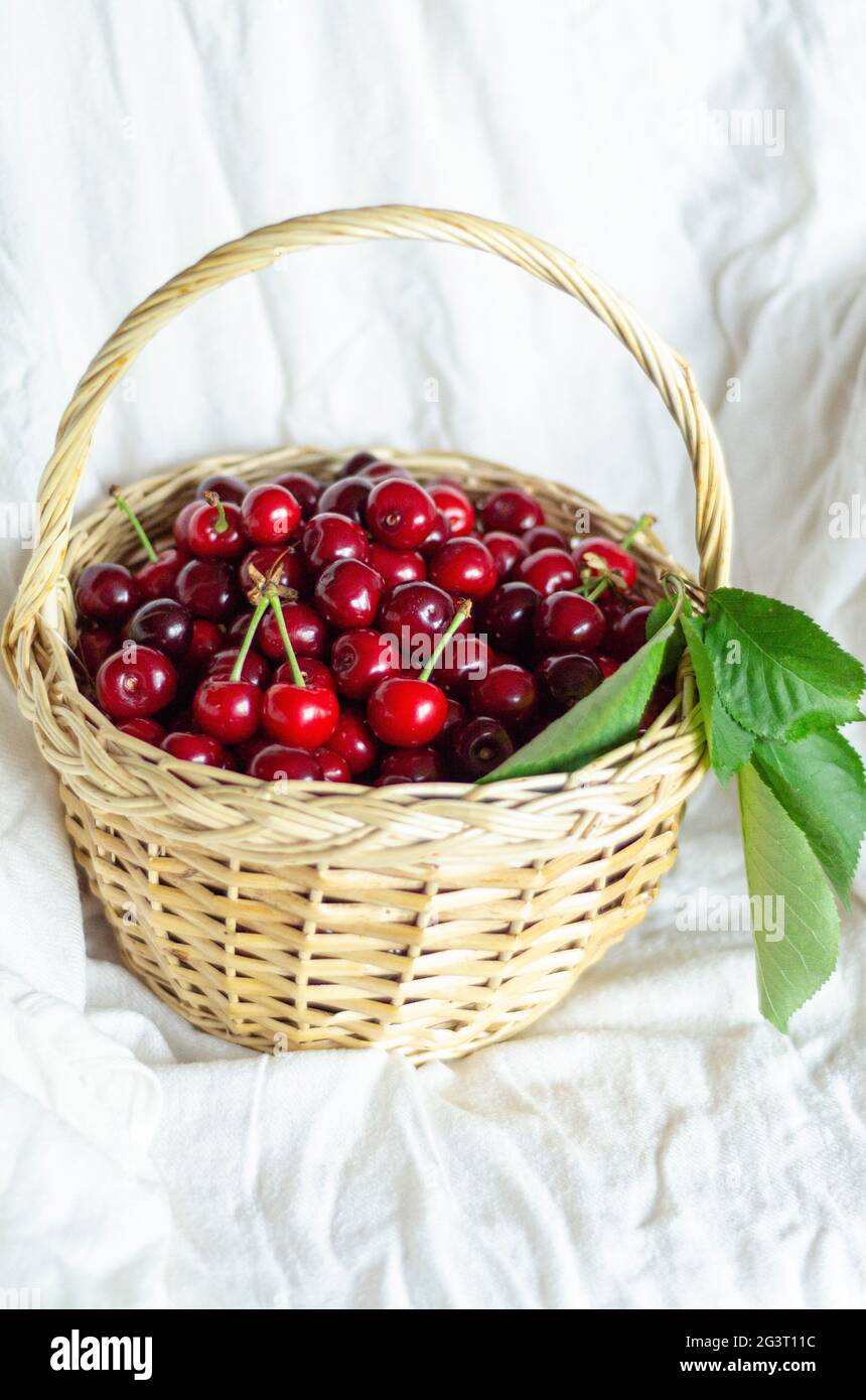basket with ripe cherries on a light background, a nice place Stock ...