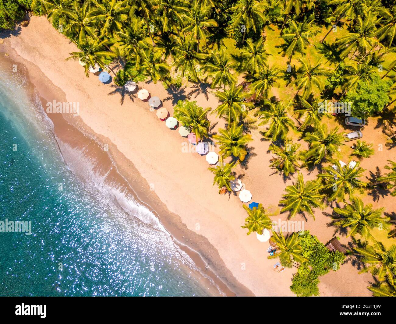 Aerial view tropical palm trees hi-res stock photography and images - Alamy
