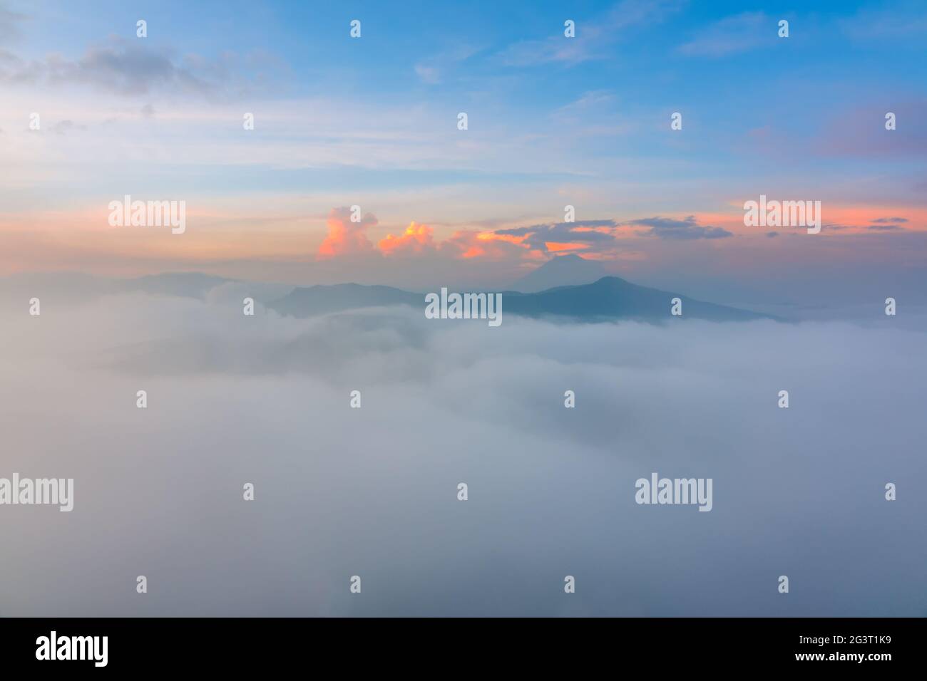 Beautiful thick forest mountain hi-res stock photography and images - Alamy