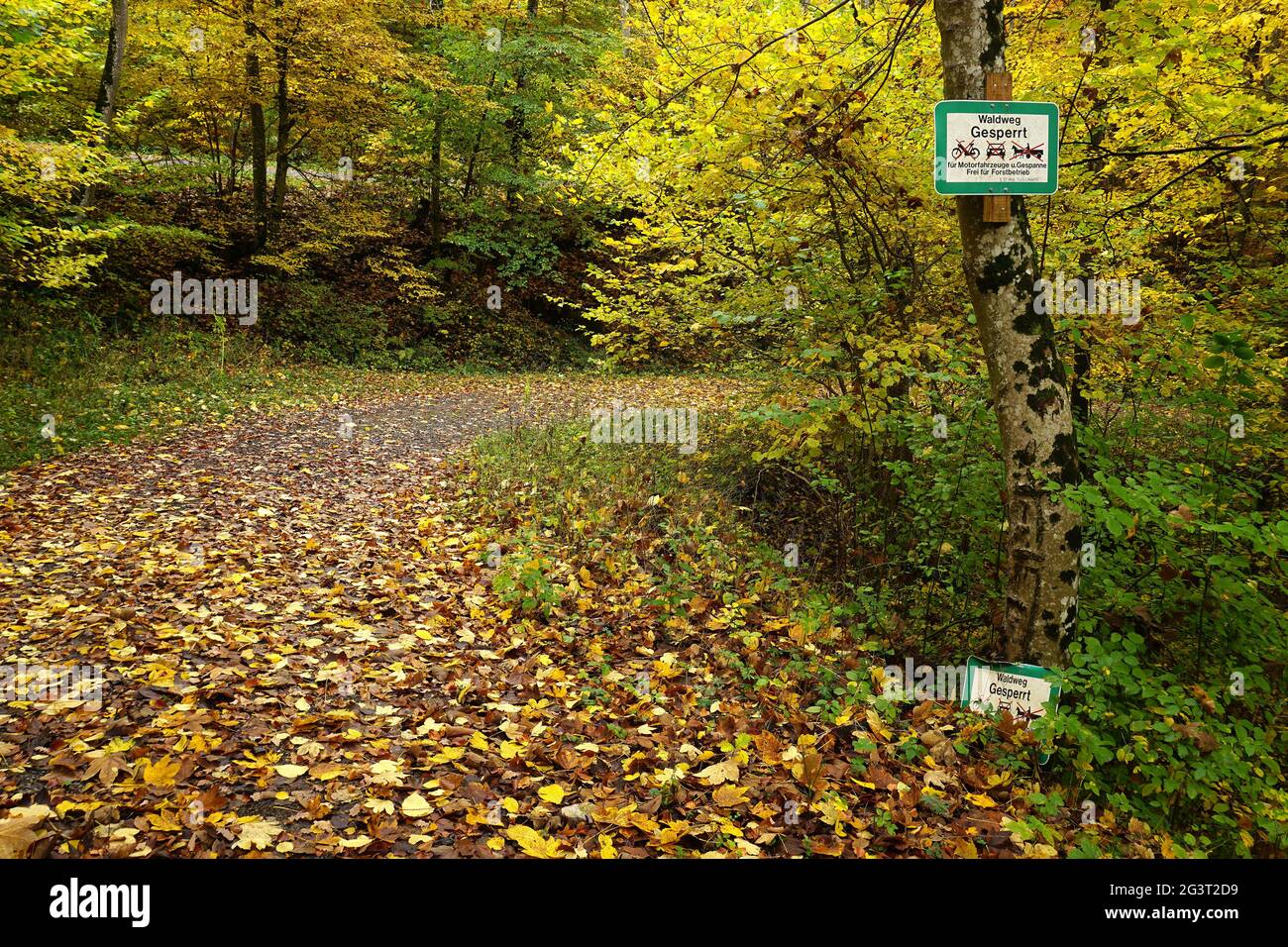 Prohibition sign for the use of a forest path Stock Photo - Alamy