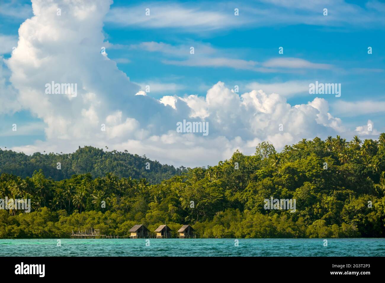 Tropical Shore with a Rainforest and Three Huts on Stilts Stock Photo ...