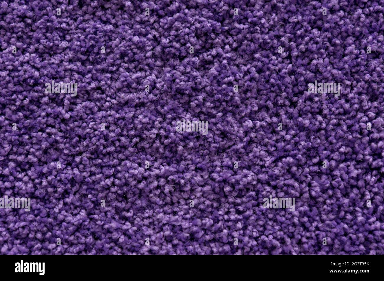 Ultra violet or purple carpet texture backdrop. Warm wool colored cloth ...
