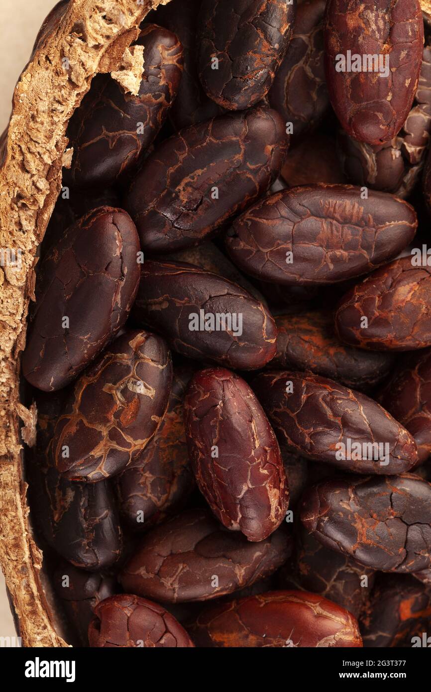 Detail of fresh peeled cocoa beans in a pot from above Stock Photo - Alamy