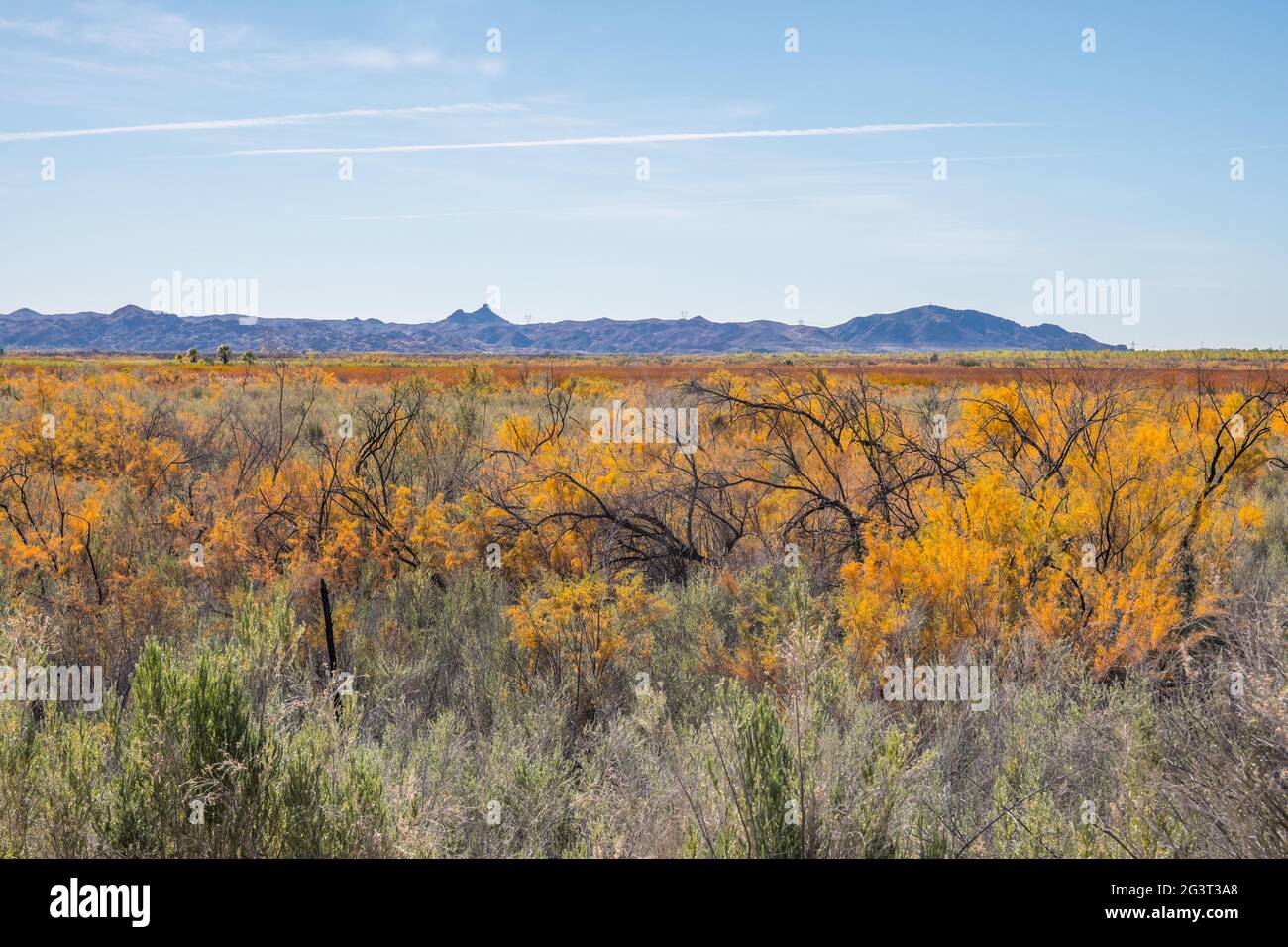 Yuma arizona desert scenic hi-res stock photography and images - Alamy