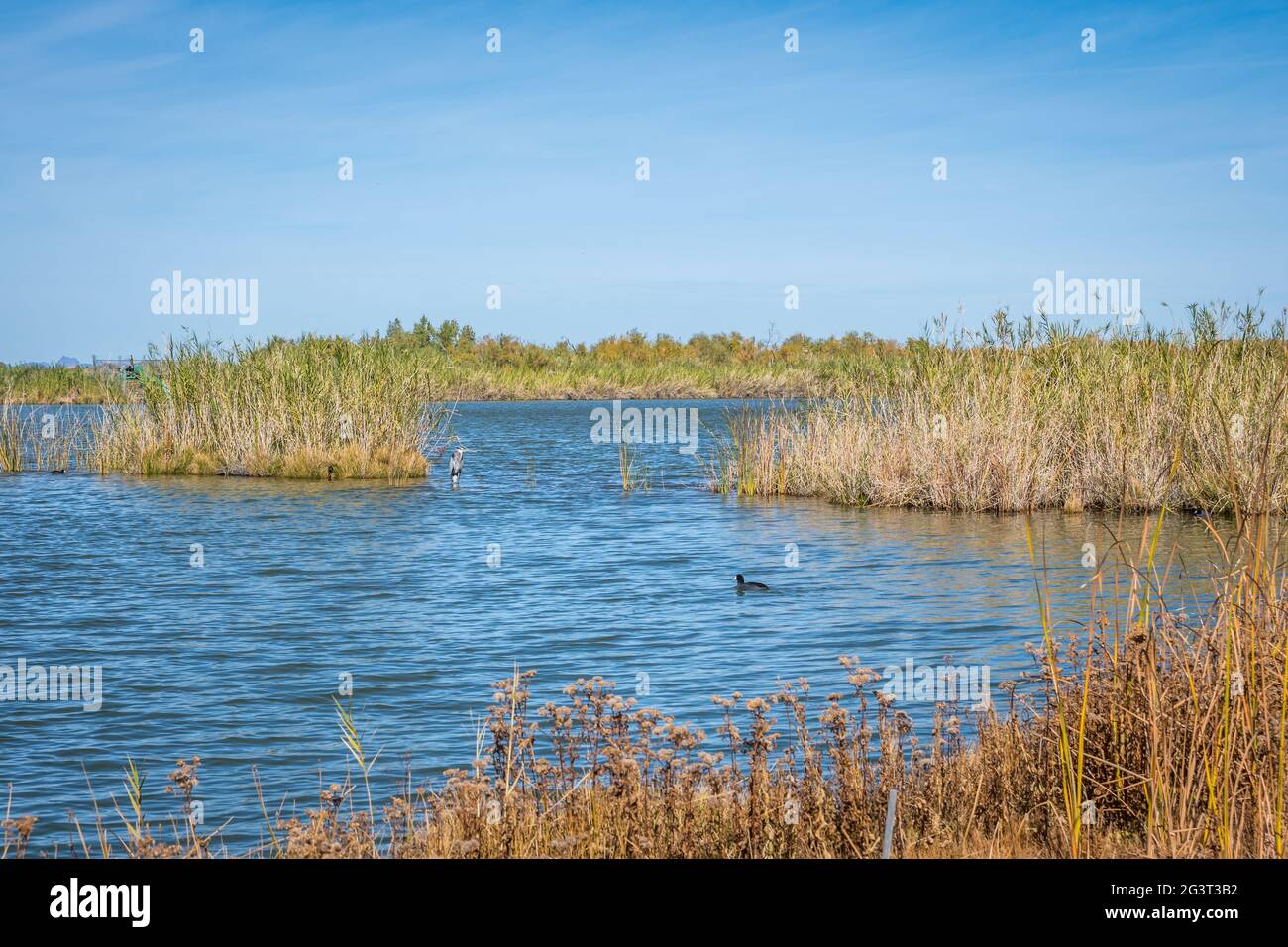 An overlooking view of nature in Yuma, Arizona Stock Photo - Alamy