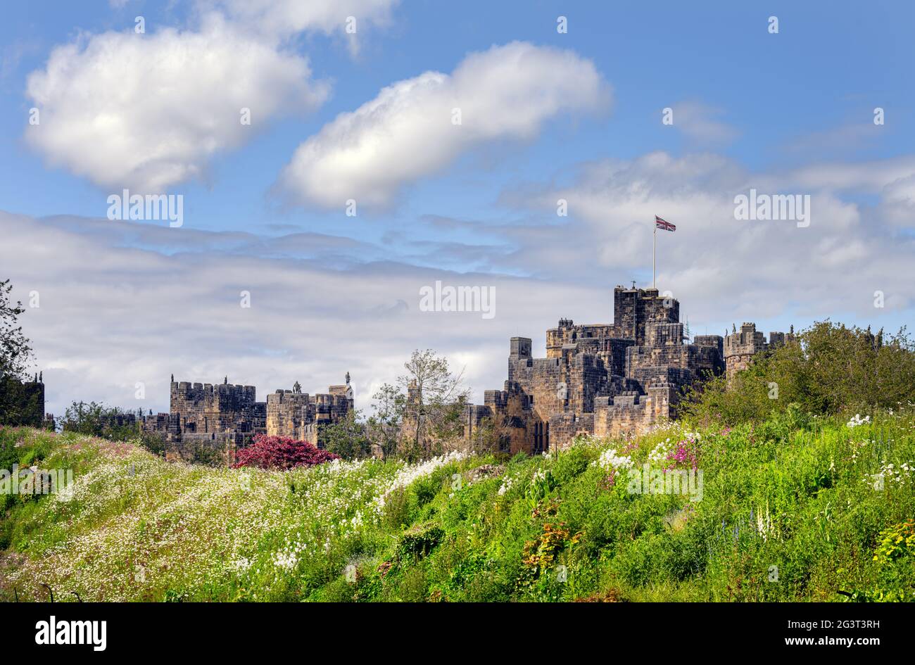 ALNWICK, ENGLAND - JUNE 10th, 2021: Alnwick castle behind a bank of ...