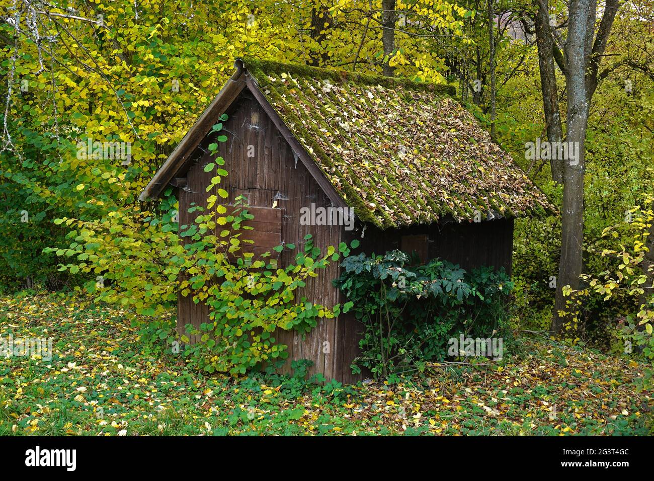 Witch's house hi-res stock photography and images - Alamy